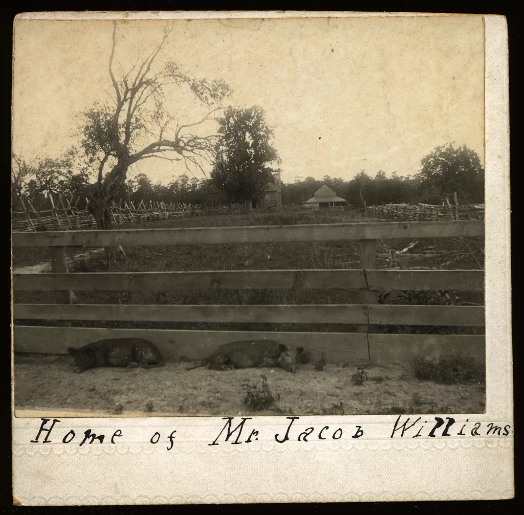 Nat Turner’s Rebellion Timeline – Nat Turner Insurrection Trail